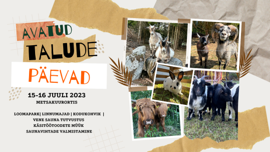 Puhkekeskus ürgses looduses Raplamaal